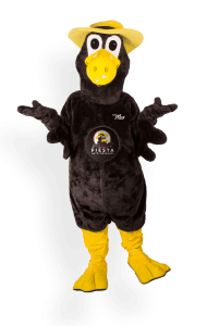 Contact - Fiesta Auto Insurance and Tax Services