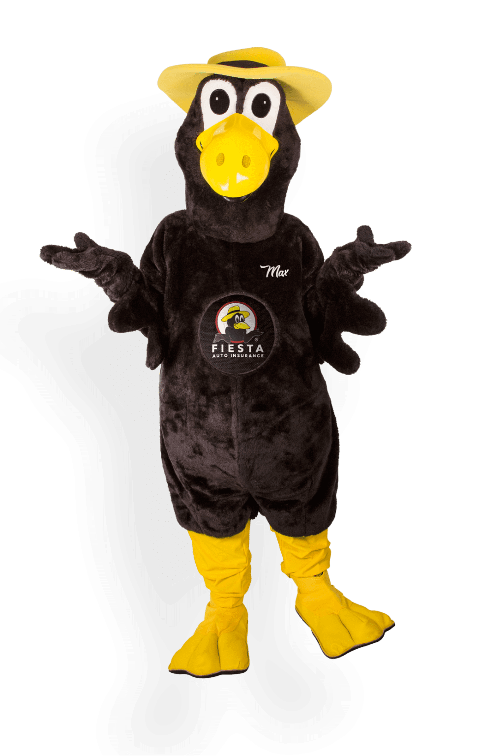 Contact - Fiesta Auto Insurance and Tax Services